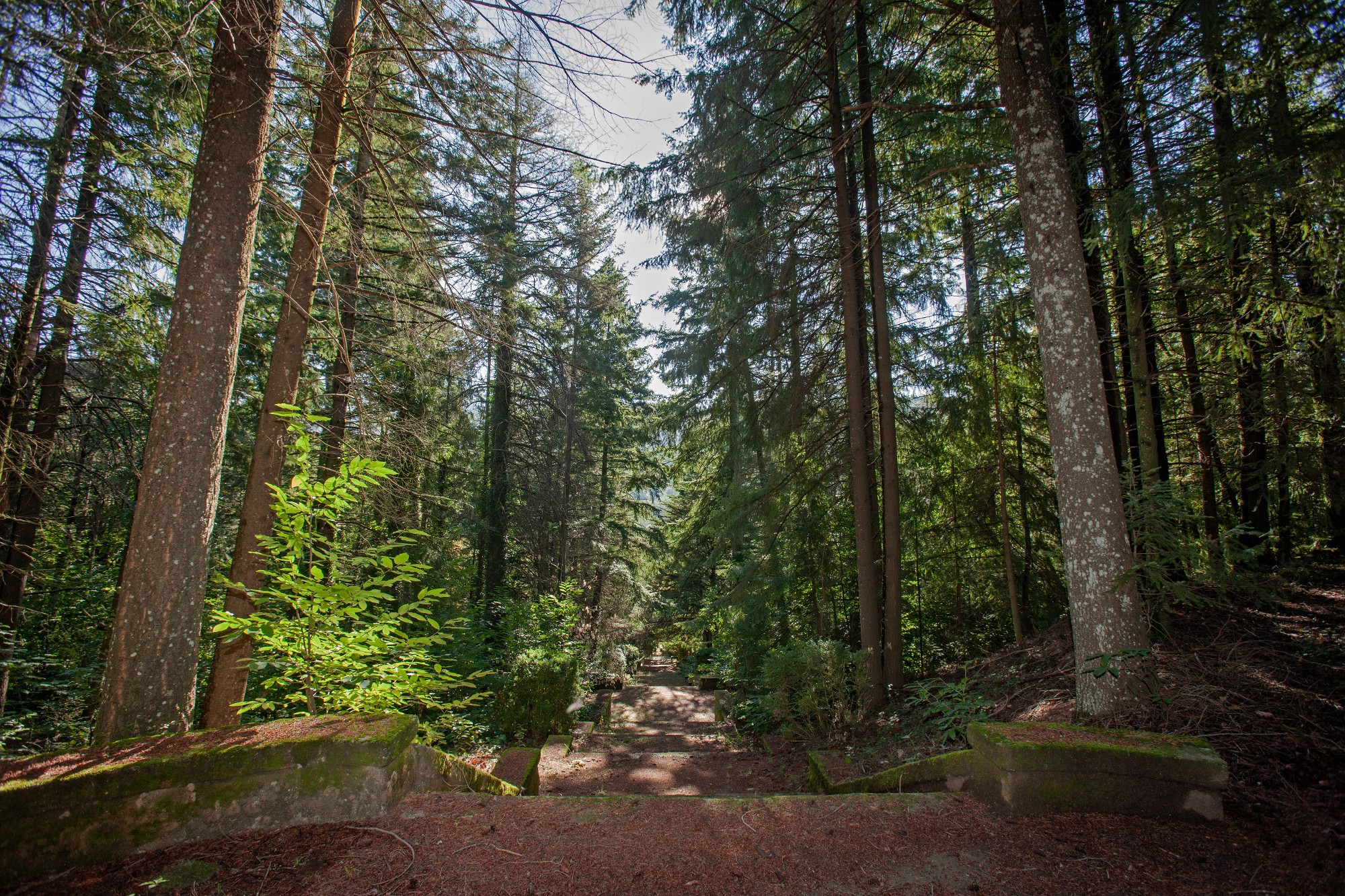 Preserve of Nuestra Señora del Carmen | Portal de Turismo de Castilla y León